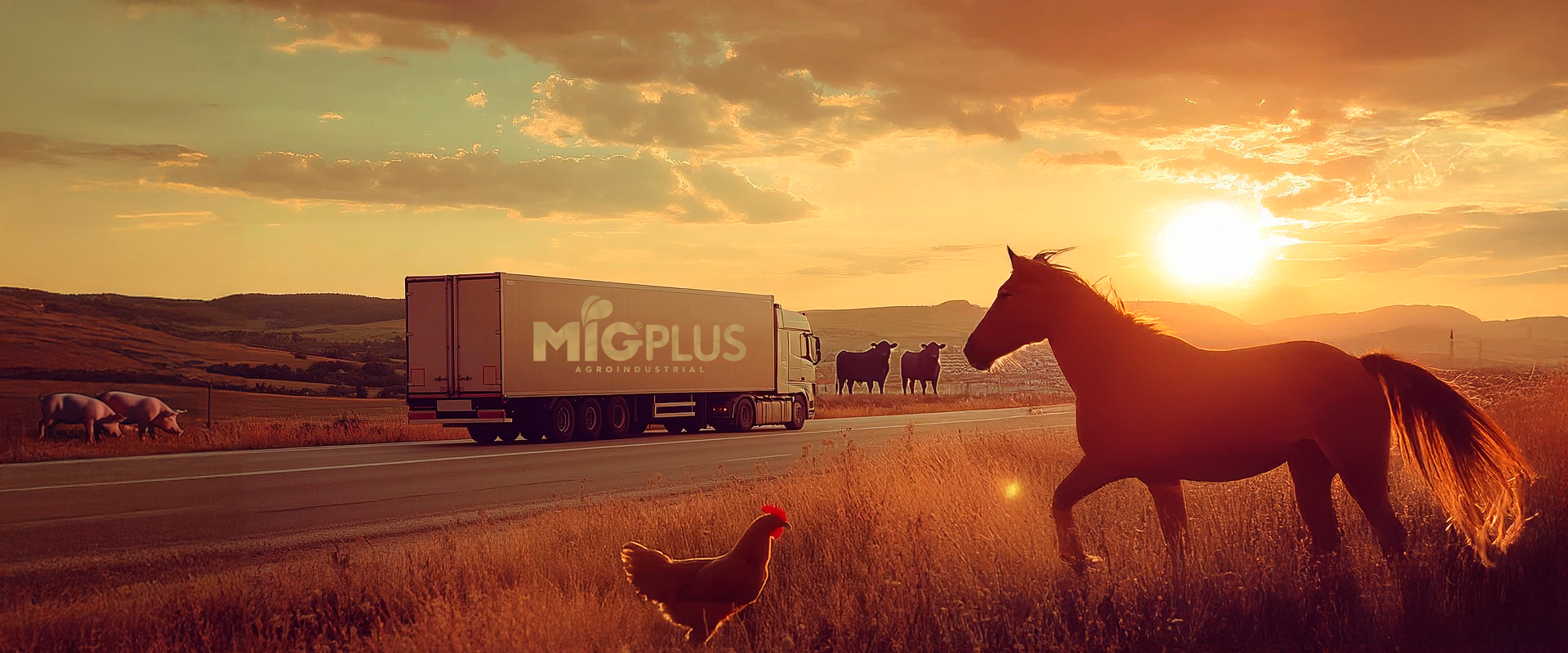 Linha Pediátrica - Mig-PLUS